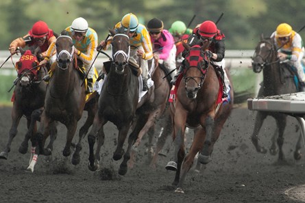 Midnight Aria - Horse Profile - BloodHorse