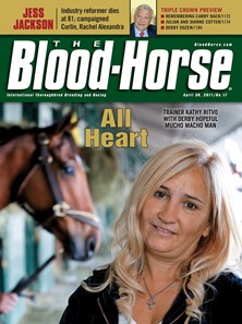 Mucho Macho Man - Horse Profile - BloodHorse