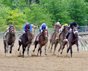 Oxbow - Horse Profile - BloodHorse