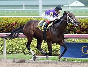 Competitive Edge - Horse Profile - BloodHorse