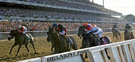 Tonalist - Horse Profile - BloodHorse