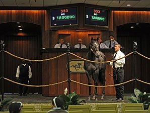 Record Smart Strike Colt Brings $1.8M at OBS - BloodHorse