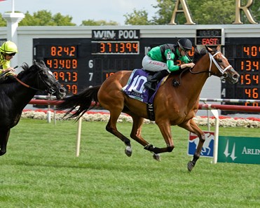 The Pizza Man - Horse Profile - BloodHorse