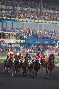 Midnight Aria - Horse Profile - BloodHorse