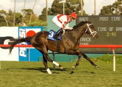Sunriver - Horse Profile - BloodHorse