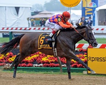 Summer Applause - Horse Profile - BloodHorse