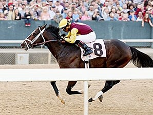 Golden Lad - Horse Profile - BloodHorse