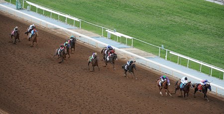 Bayern - Horse Profile - BloodHorse