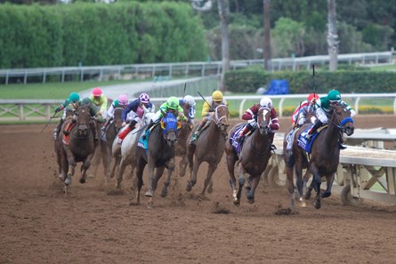 Untapable - Horse Profile - BloodHorse