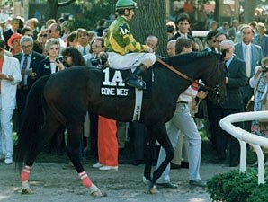 100 Stakes Winners and Counting for Gone West - BloodHorse