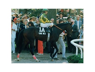 100 Stakes Winners and Counting for Gone West - BloodHorse