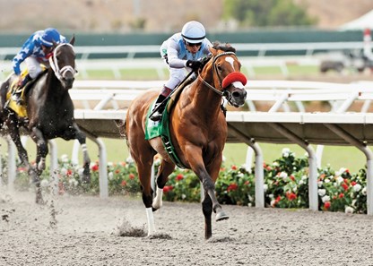 The Week in Photos for 8/26/2014 - Slideshow - BloodHorse