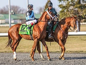 Capo Bastone Returns to Dirt in Derby Trial - BloodHorse