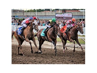 Partners to Build Racetrack Casino in Calgary - BloodHorse