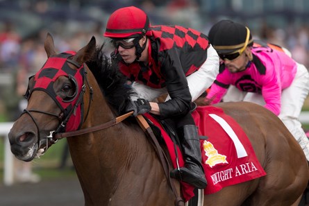 Midnight Aria - Horse Profile - BloodHorse