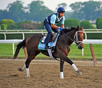 Overanalyze - Horse Profile - BloodHorse