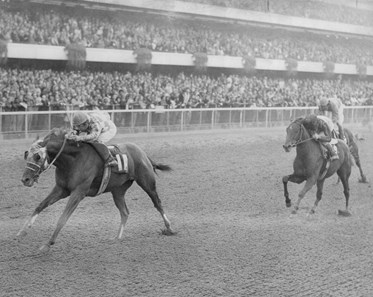 Secretariat - Slideshow - BloodHorse