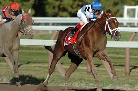 Lawyer Ron - Horse Profile - BloodHorse