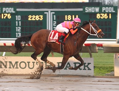 Bern Identity - Horse Profile - BloodHorse