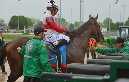 Orb - Horse Profile - BloodHorse