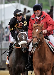 Oxbow - Horse Profile - BloodHorse