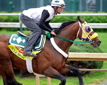 Uncle Sigh - Horse Profile - BloodHorse