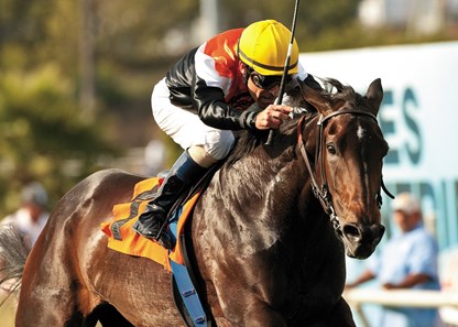 Marketing Mix - Horse Profile - BloodHorse
