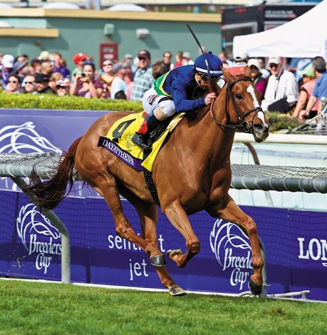 NYTB to Honor Three Legendary New York-Breds Aug. 27 - BloodHorse