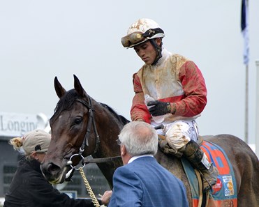 Orb - Horse Profile - BloodHorse