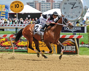 Happy My Way - Horse Profile - BloodHorse