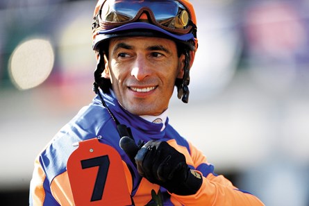 Uncle Mo - Horse Profile - BloodHorse