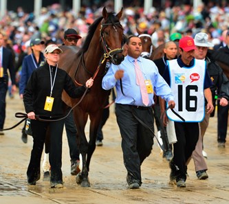 Orb - Horse Profile - BloodHorse