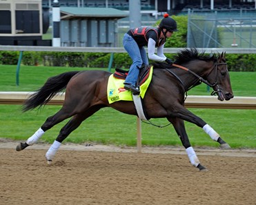 Orb - Horse Profile - BloodHorse