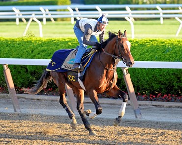 Tonalist - Horse Profile - BloodHorse
