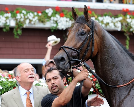 Hushion Ready to Bid Farewell to Training Days - BloodHorse