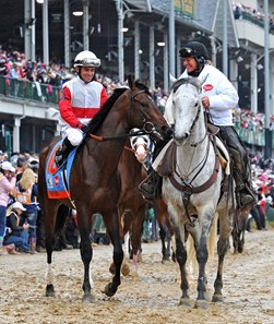 Orb - Horse Profile - BloodHorse