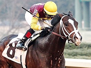 Golden Lad - Horse Profile - BloodHorse