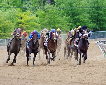Oxbow - Horse Profile - BloodHorse