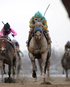 El Kabeir - Horse Profile - BloodHorse