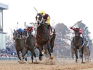 Golden Lad - Horse Profile - BloodHorse