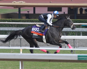Handsome Mike - Horse Profile - BloodHorse