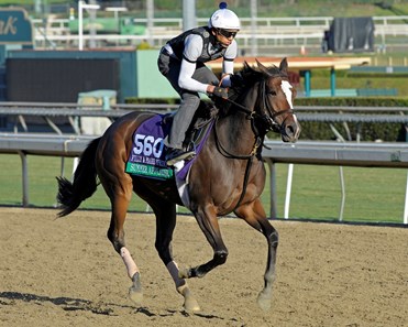 Summer Applause - Horse Profile - BloodHorse