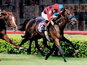 Silic, 1999 BC Mile Winner, Sire, Dies - BloodHorse