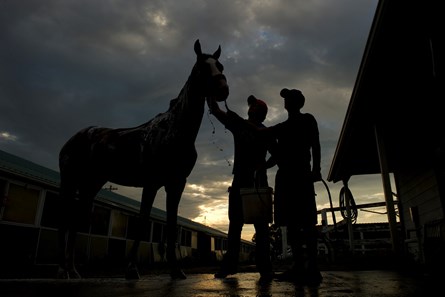 Lions Bay - Horse Profile - BloodHorse