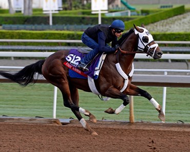 Fast Anna - Horse Profile - BloodHorse