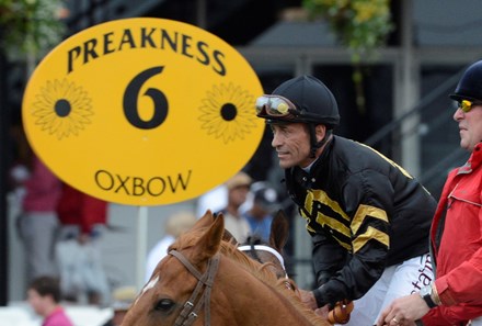 Oxbow - Horse Profile - BloodHorse