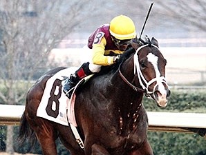 Golden Lad - Horse Profile - BloodHorse