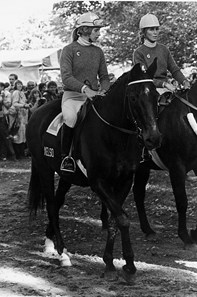 Kelso - Horse Profile - BloodHorse