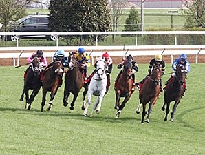 Jack Milton - Horse Profile - BloodHorse