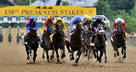 Oxbow - Horse Profile - BloodHorse